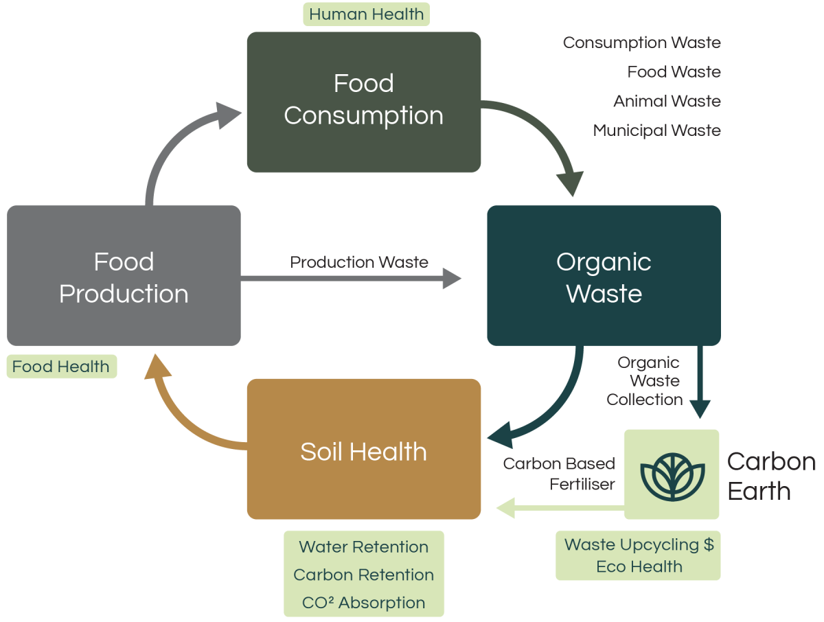Closing the Loop: Carbon Earth Circular Economy
